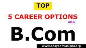 Top 5 Best Career Options after B.Com, Jobs, and Salary Check Now